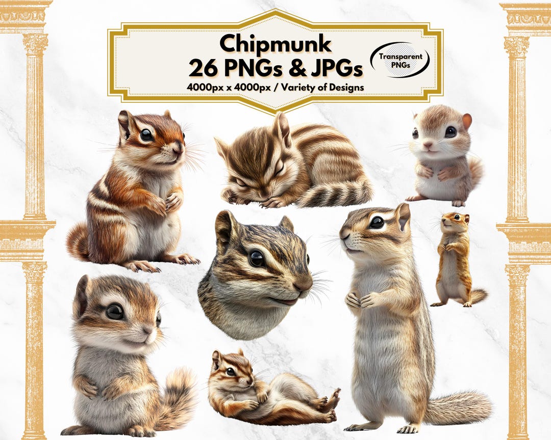 Chipmunk Clipart, Cute Forest Animal Illustration, Chipmunk PNG ...