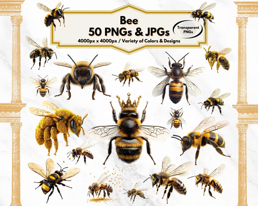 Bee Clipart, Bee PNG, Bee JPG, Honeybee Clipart, Insect Clipart, Bee ...