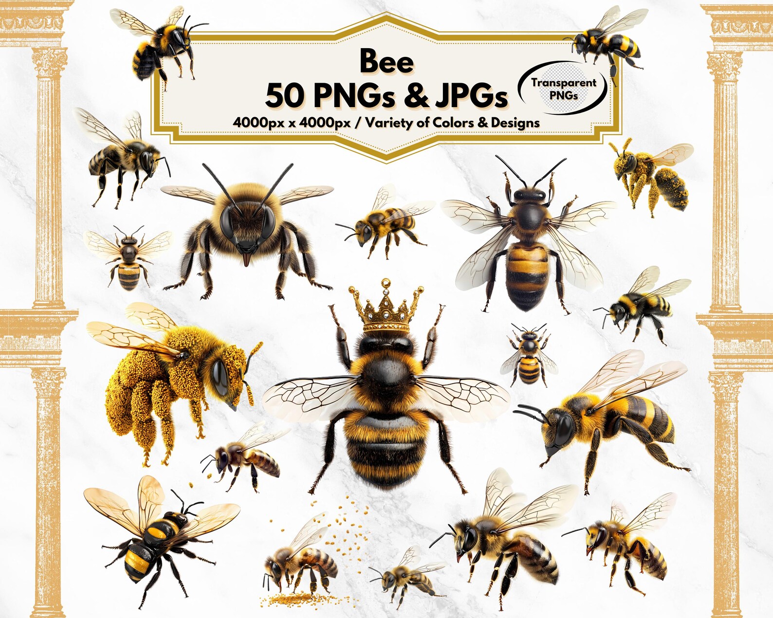 Bee Clipart, Bee PNG, Bee JPG, Honeybee Clipart, Insect Clipart, Bee ...
