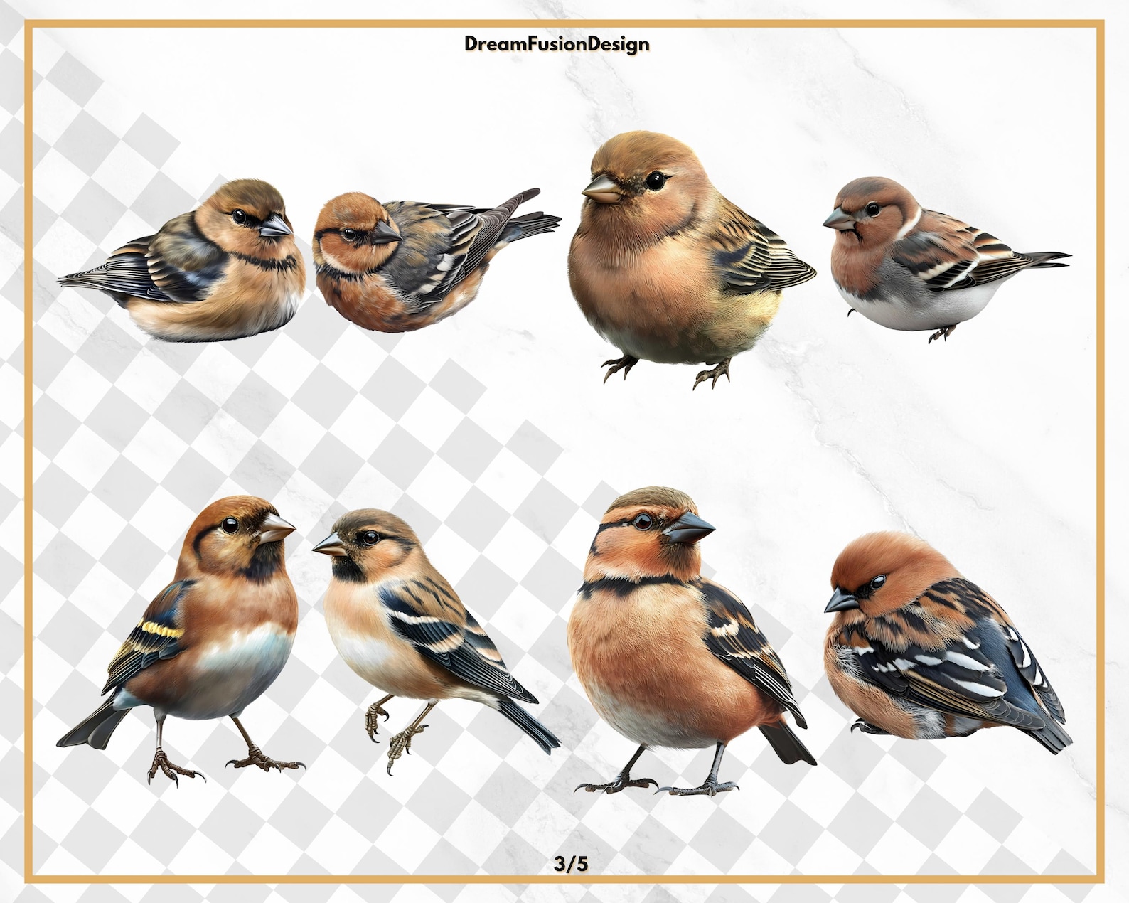 Chaffinch Clipart, Bird Illustration, Chaffinch PNG, Wildlife Art, Nature and Bird Graphics ...