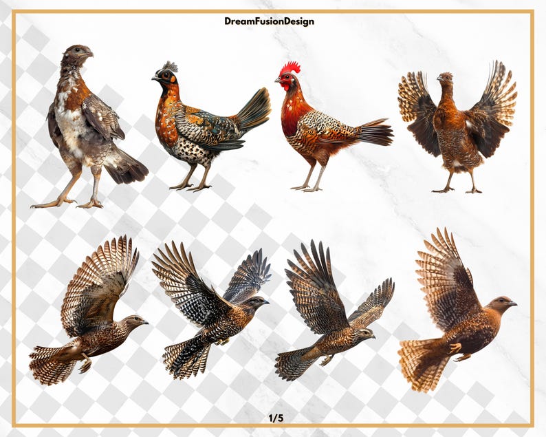 Grouse Clipart: Wildlife Bird PNG Graphics (digital Download) - Etsy