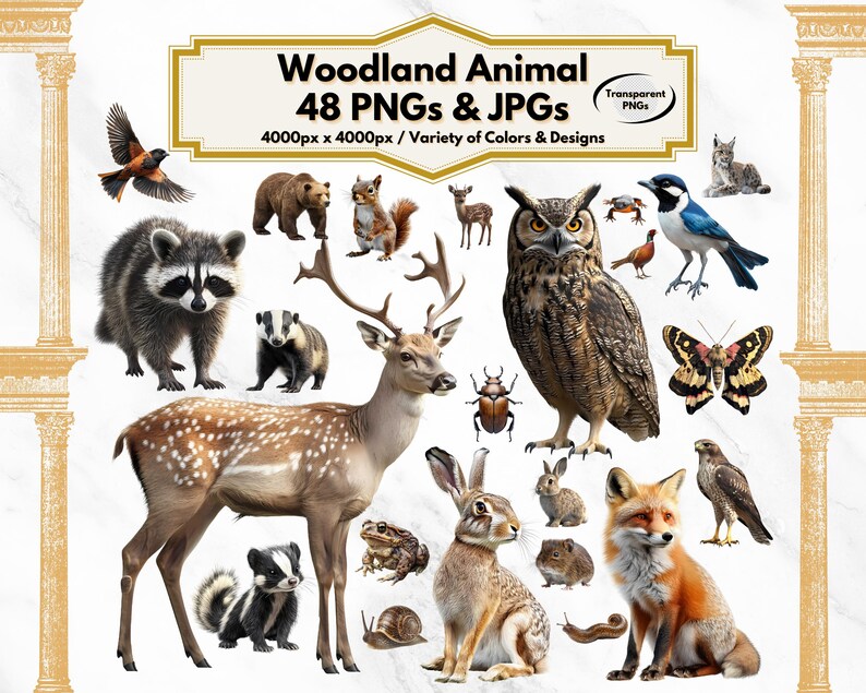 Woodland Animal Clipart, Forest Animal Illustrations, Woodland ...