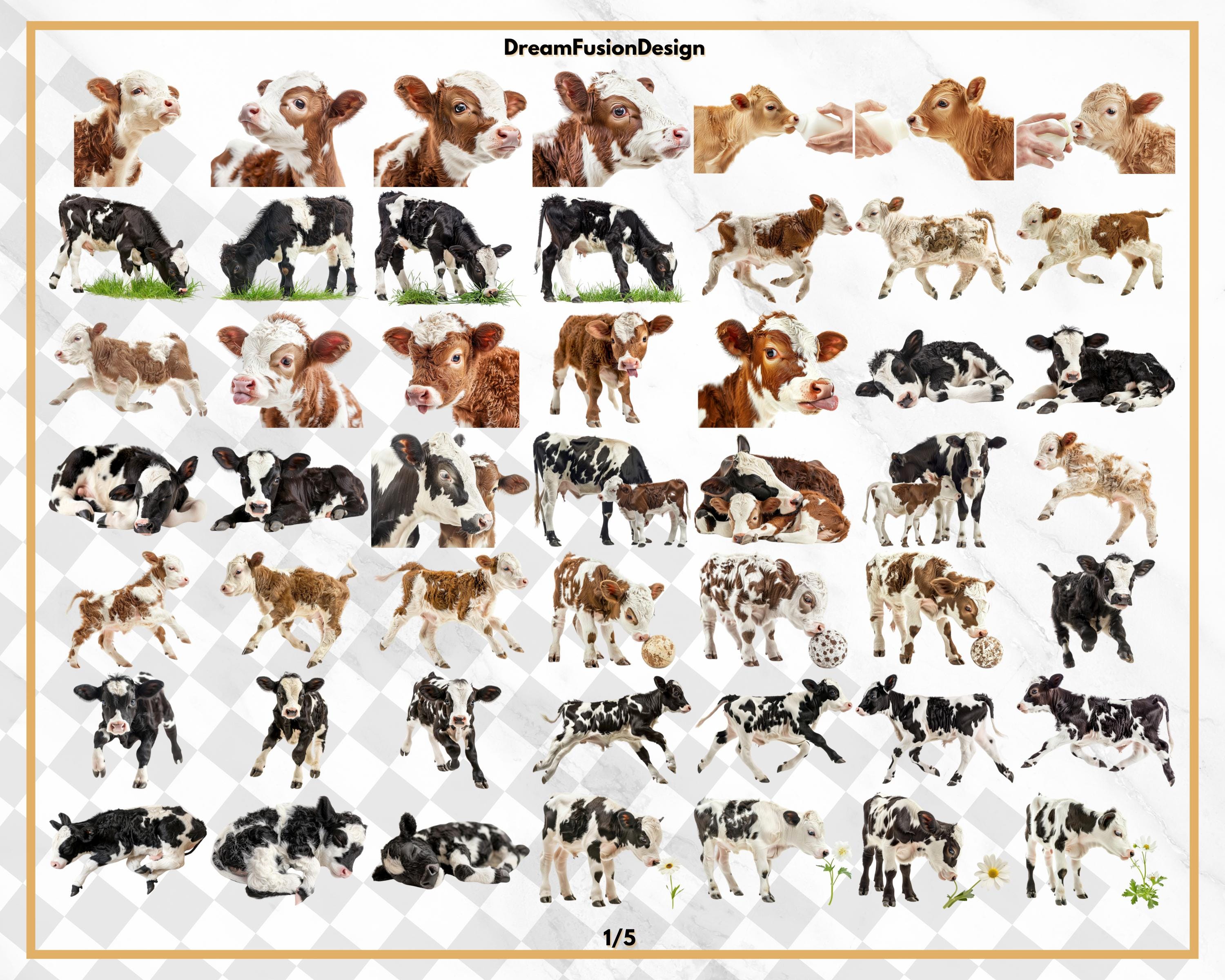 Cow Clipart, Cow Png, Cow JPG, Cattle Clipart, Cattle Png, Farm Animal ...