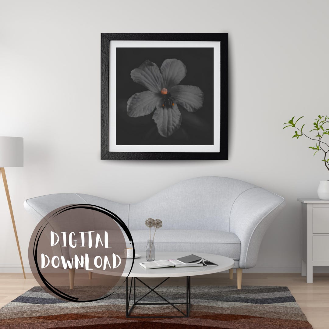 Black Rose Poster, Black Flower Printable, Black Rose Decor, Dark ...