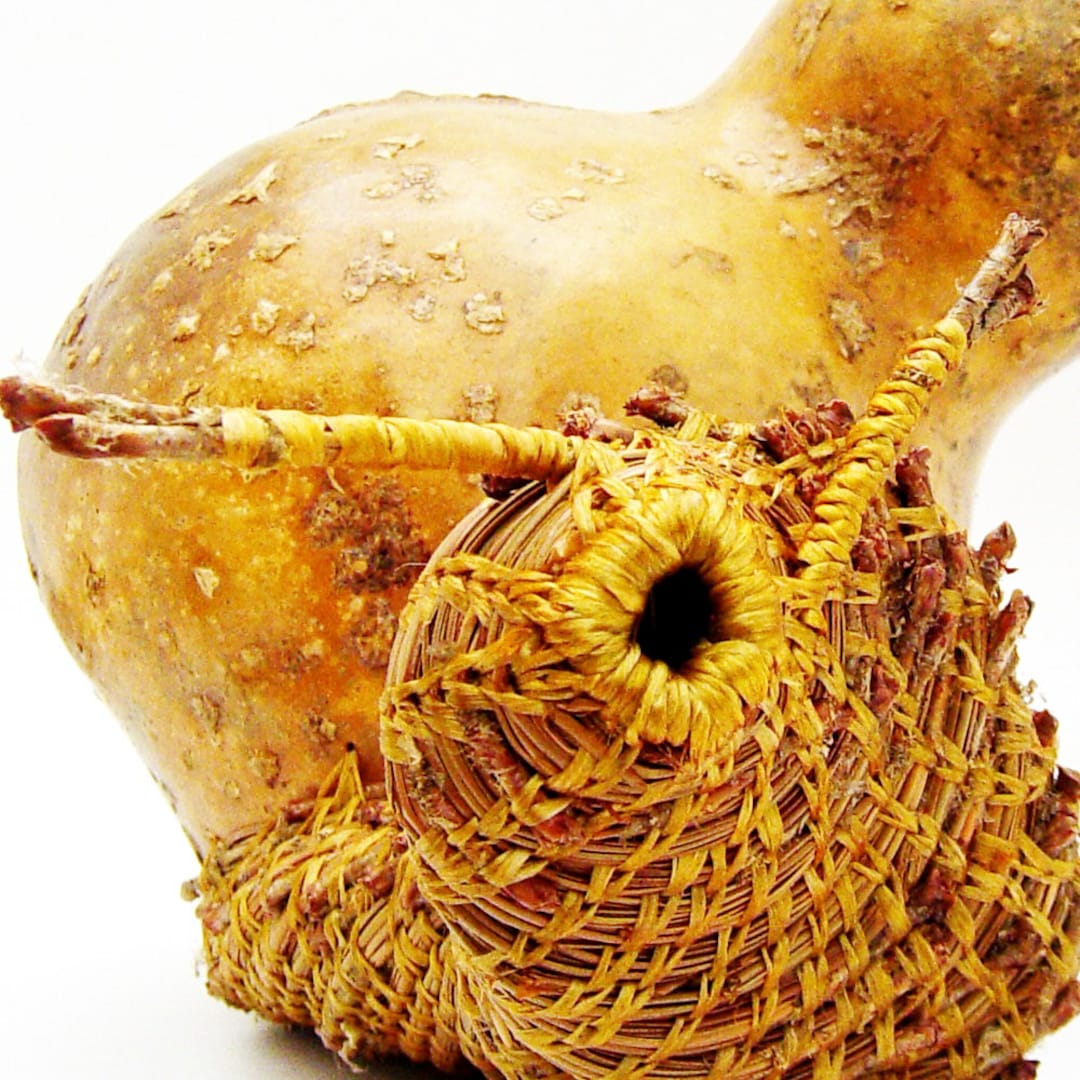 Snail Gourd, Pine Needle, Brown, Tan, Natural, Art Sculpture, Coiled ...