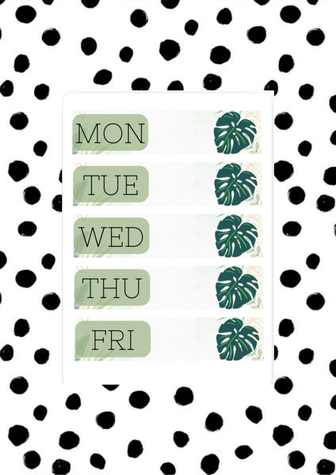 Days of the Week Drawer Labels - Safari Themed - Etsy UK