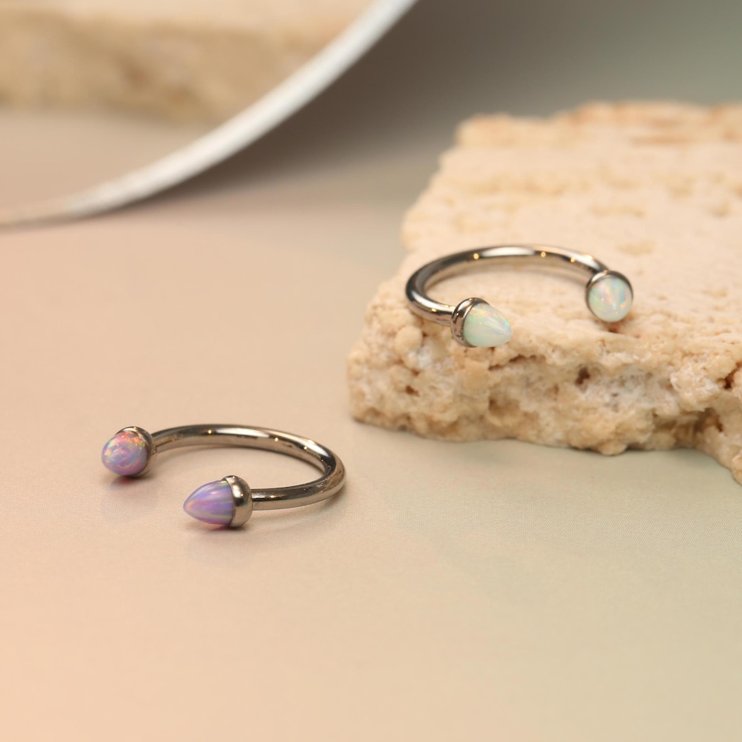 Titanium Horseshoe Septum Ring Piercing Jewelry Cartilage Earlobe ...