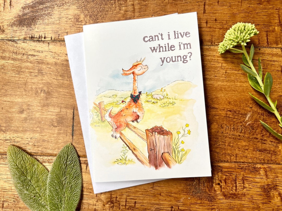 Phish // Llama Greeting Card // Any Occasion // Animal Cards ...