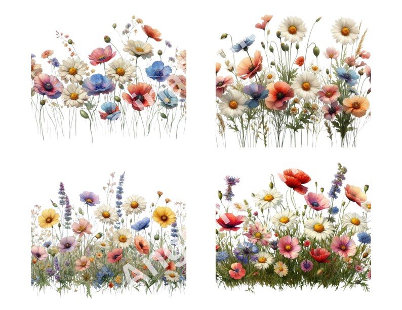 12 Watercolor Wildflowers Clipart - PNG With Transparent Background ...