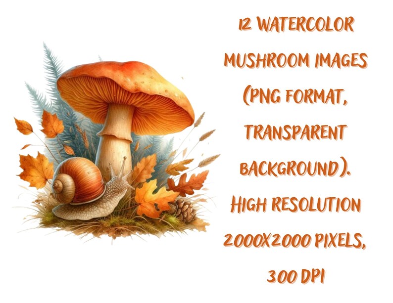 12 Watercolor Forest Mushrooms Clipart, Digital Print, PNG, 300 DPI ...