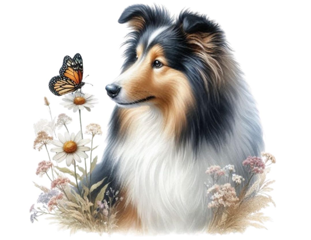 19 Watercolor Realistic Images of Sheltie Dogs – Clipart, PNG ...