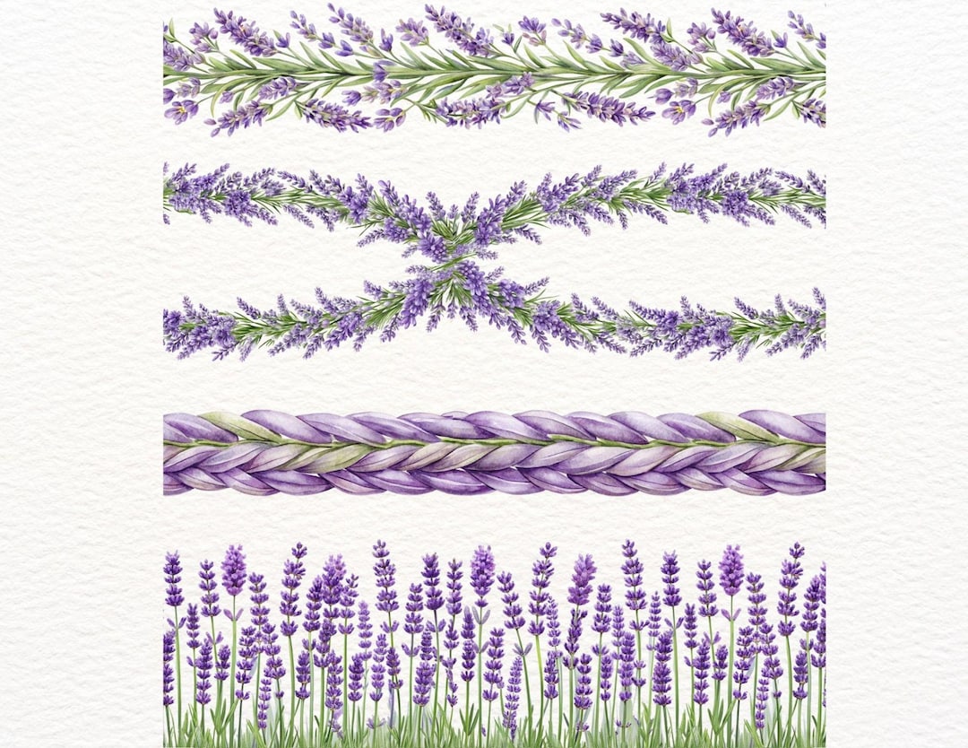 12 Lavender Seamless Borders PNG – Floral Frame Clipart & Provence ...