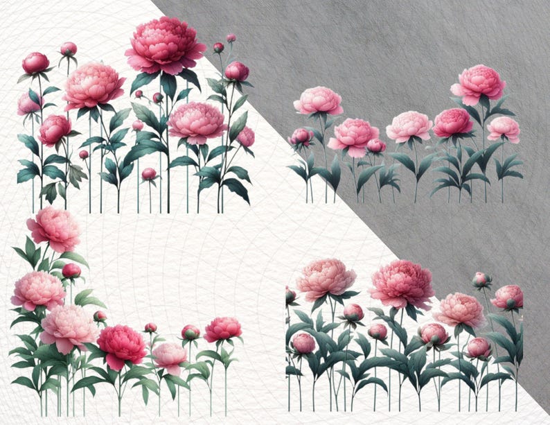 White and Pink Peony Borders Clipart PNG | 12 Wedding Floral Clipart ...