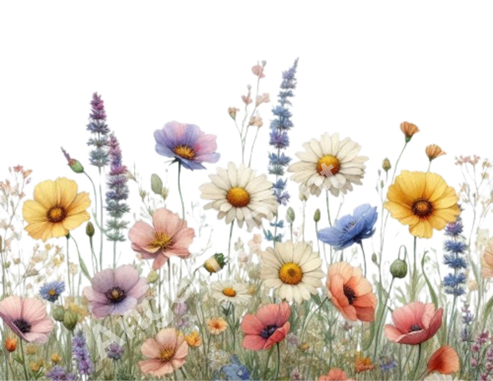 12 Watercolor Wildflowers Clipart PNG With Transparent Background ...