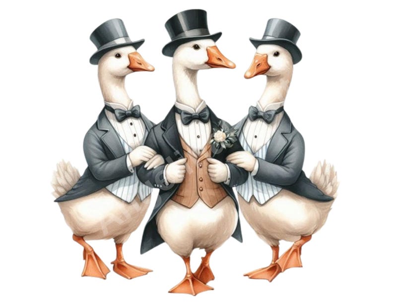 15 Watercolor Wedding Geese Clipart for Bachelorette, Bachelor Parties ...