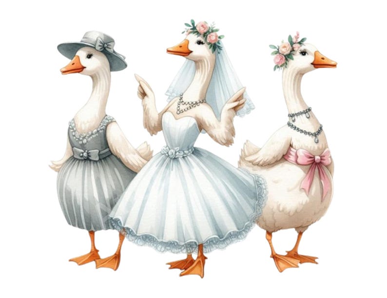 15 Watercolor Wedding Geese Clipart for Bachelorette, Bachelor Parties ...