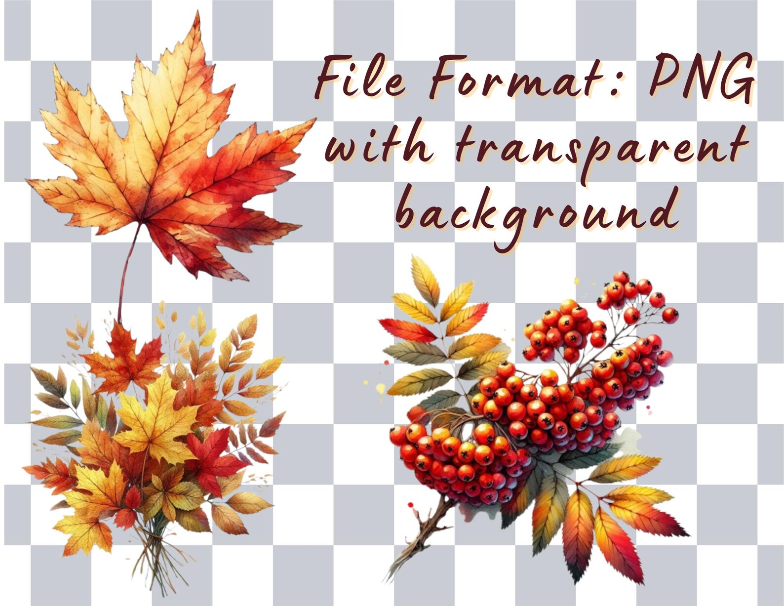 Autumn Clipart Set - 22 High-resolution PNG Files, Transparent ...