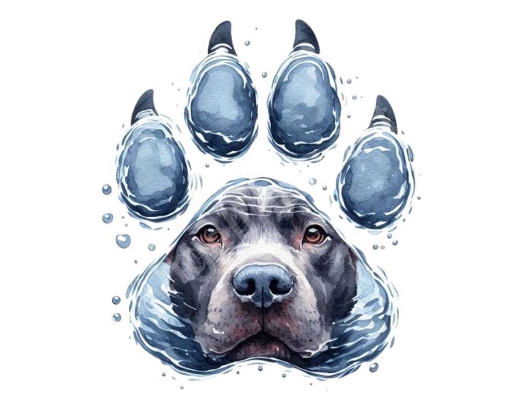 18 Watercolor Dog Paw Clipart, Transparent Background, 300 DPI, Instant ...