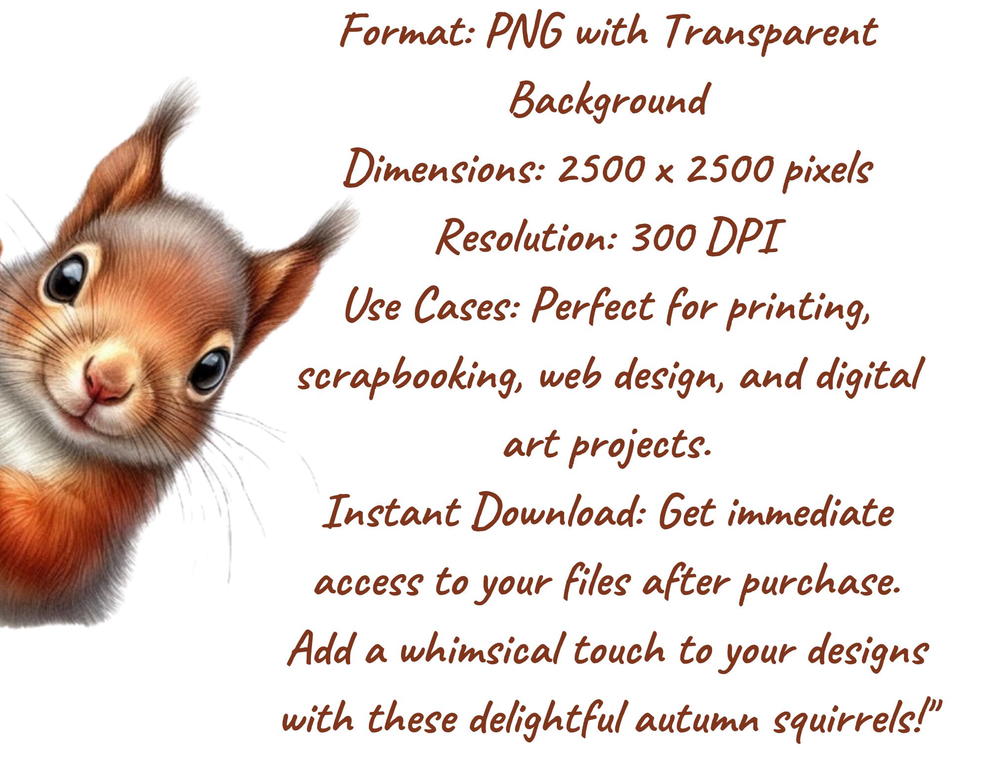 14 Watercolor Squirrel Clipart - Autumn Animals, PNG With Transparent ...