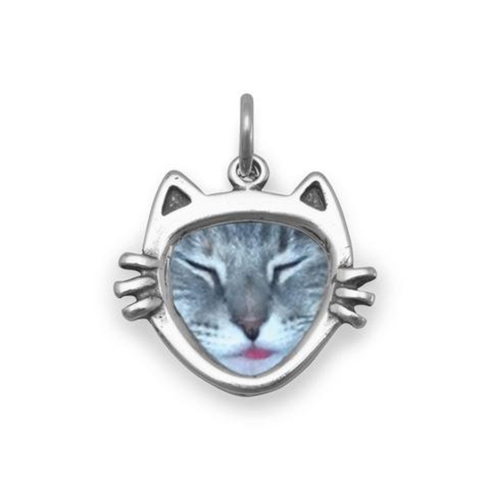 Cat Face Picture Frame Charm Pet Picture Frame Pendant Cat - Etsy