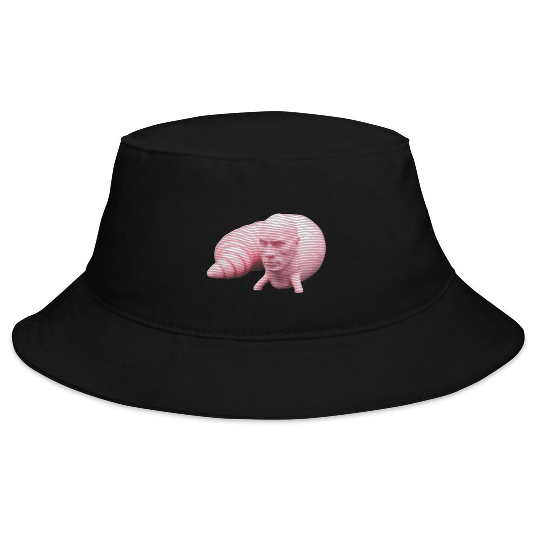 Dwayne the Larva Bucket Hat - Etsy