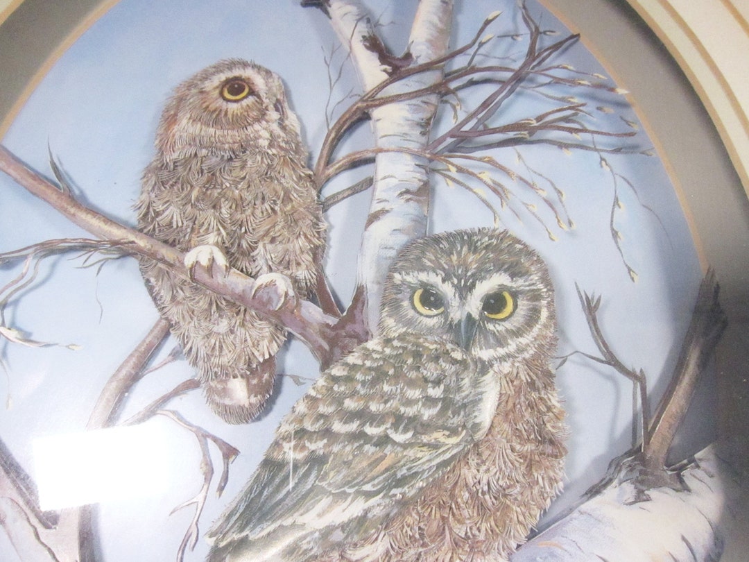 Vintage Original Owl Paper Tole Art Handmade Framed 3D - Etsy