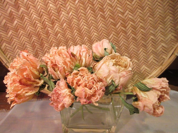 Dry Peony Flowers Whole Natural Organic Unusual Novelty Colors | Etsy