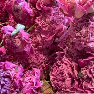 Dry Peony Blossoms, Whole Natural Flowers, Pink, White, Red, for Crafts ...