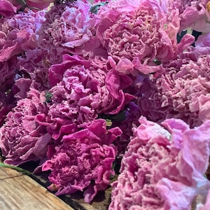 Dry Peony Blossoms, Whole Natural Flowers, Pink, White, Red, for Crafts ...