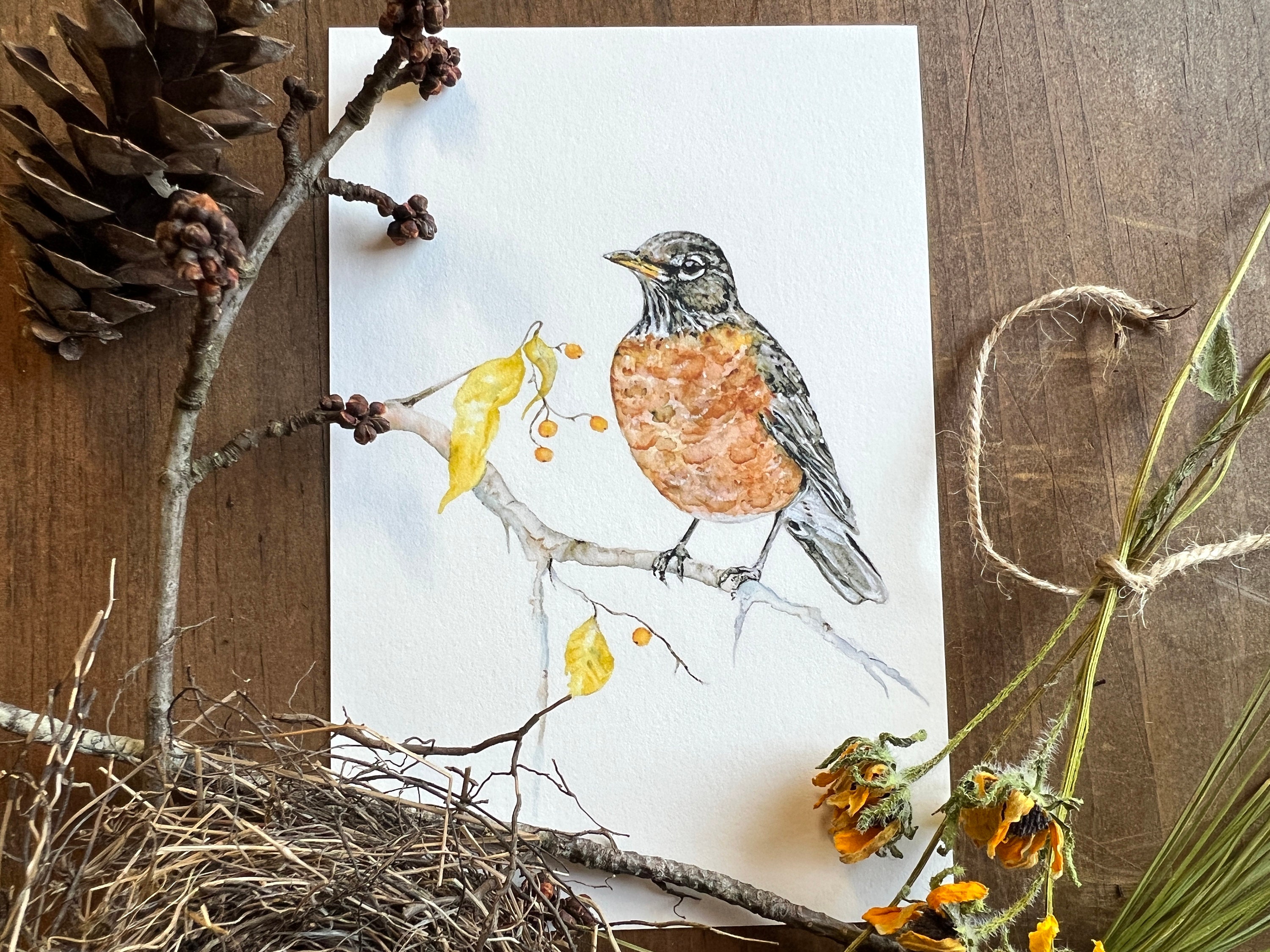 Robin Art Print Bird Art Watercolor Robin Watercolor Robin - Etsy