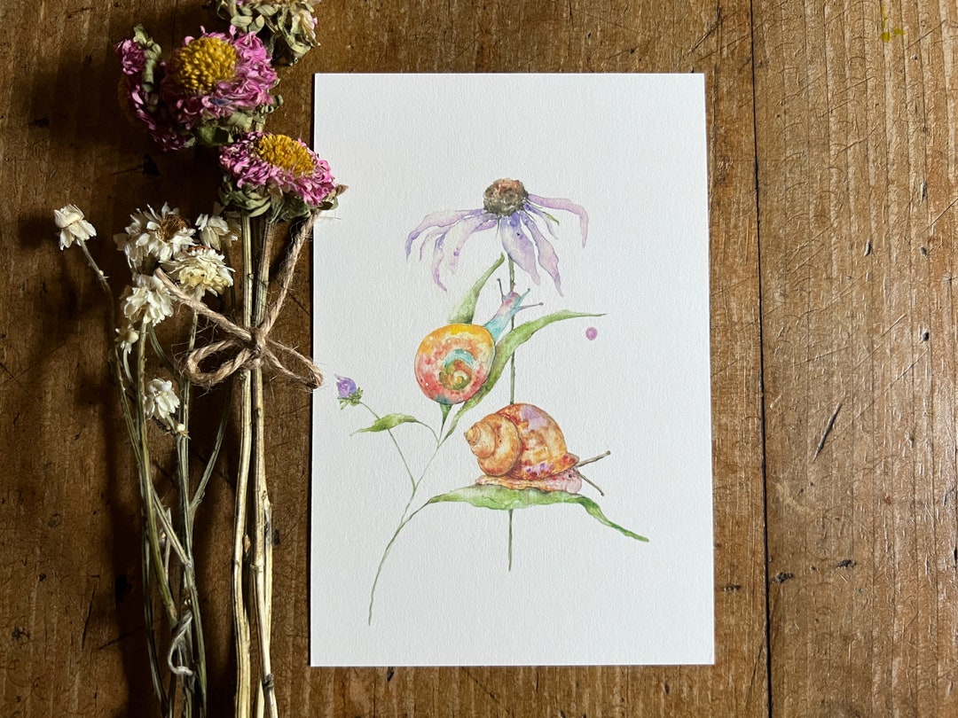 Snail Art Print, Botanical Art, Snail Painting, Snails and Daisy Print ...
