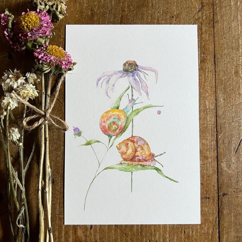 Snail Art Print - Etsy