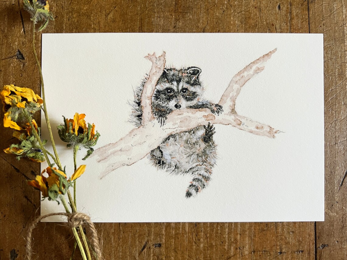 Raccoon Art Print Watercolor Raccoon Woodland Animal Art - Etsy