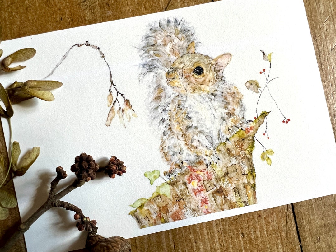 Squirrel Art Print, Squirrel Print, Squirrel Artwork, Watercolor Squirrel, Woodland Animal ...