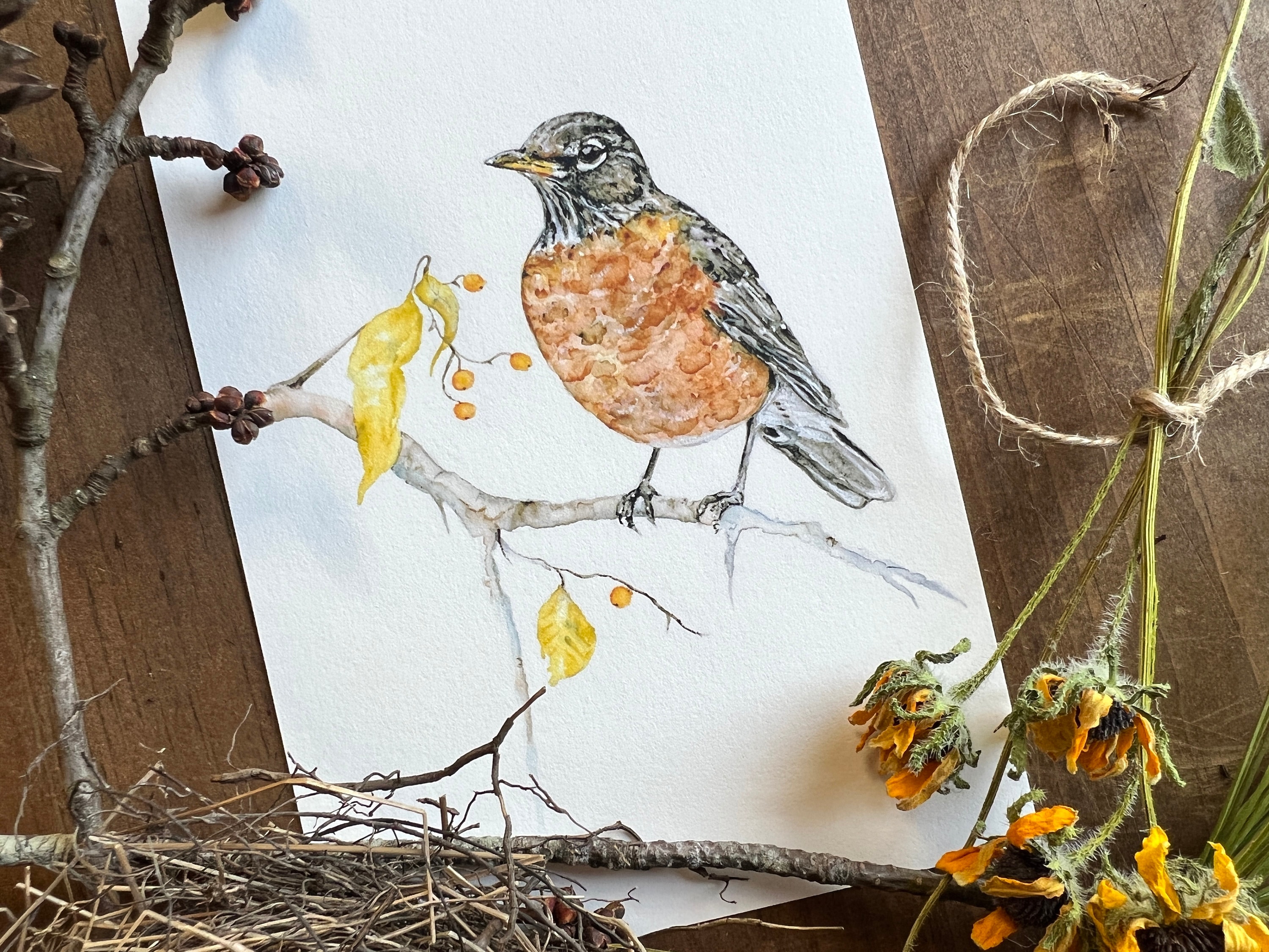 Robin Art Print Bird Art Watercolor Robin Watercolor Robin - Etsy