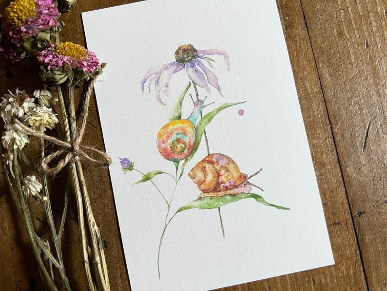 Snail Art Print Botanical Art Snail Painting Snails and - Etsy