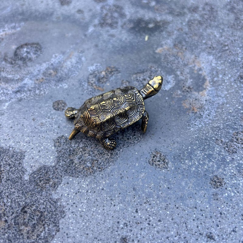 Brass Turtles - Etsy