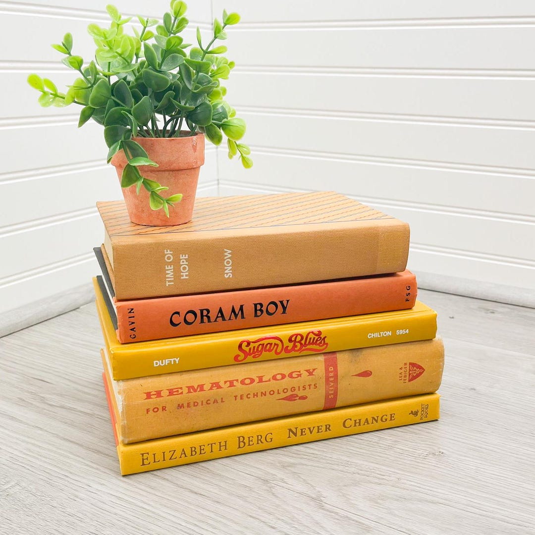Vintage Neutral Stack of Books - Retro Books for Decorative Display ...