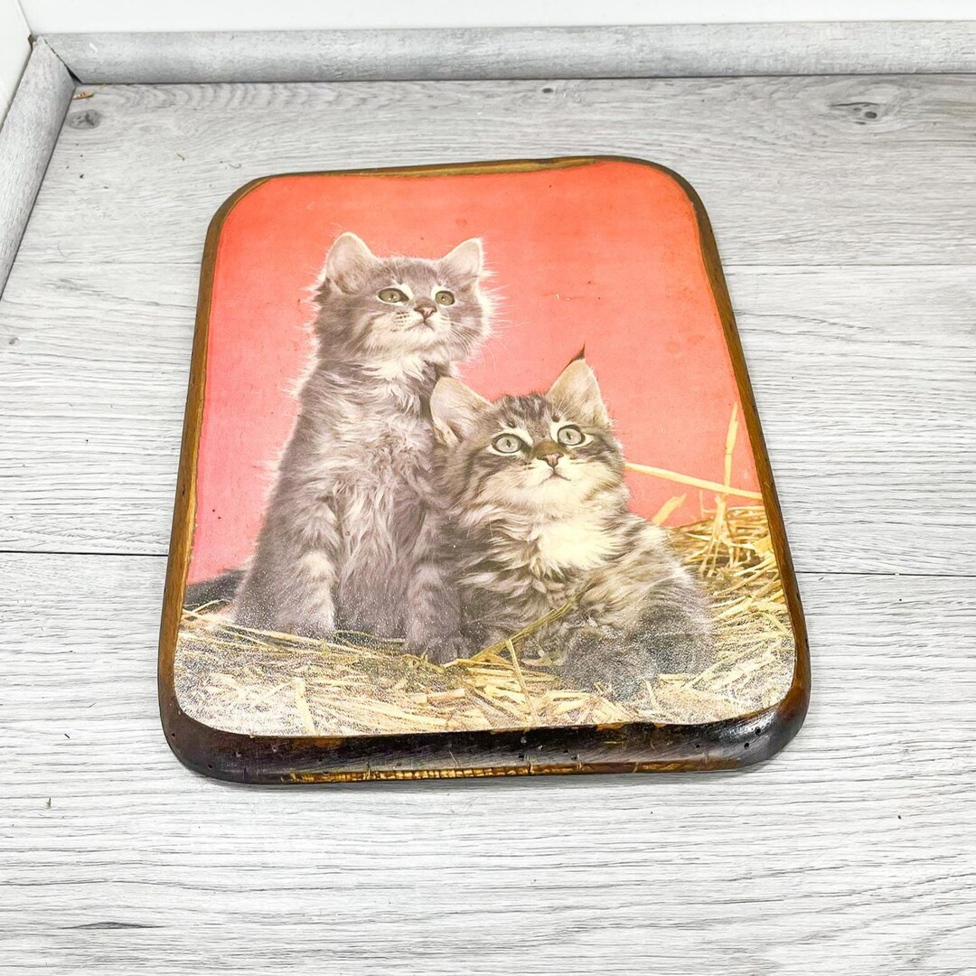 Vintage Cat Wall Hanging: Retro Wood Cat Sign - Etsy