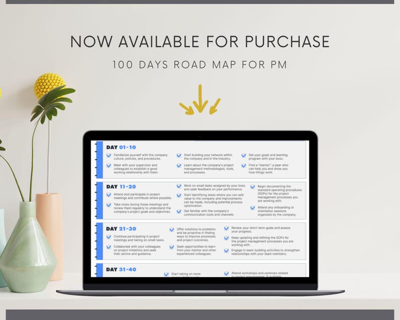 Portfolio Roadmap PDF Guide, 100-day Roadmap, Master Project Management ...