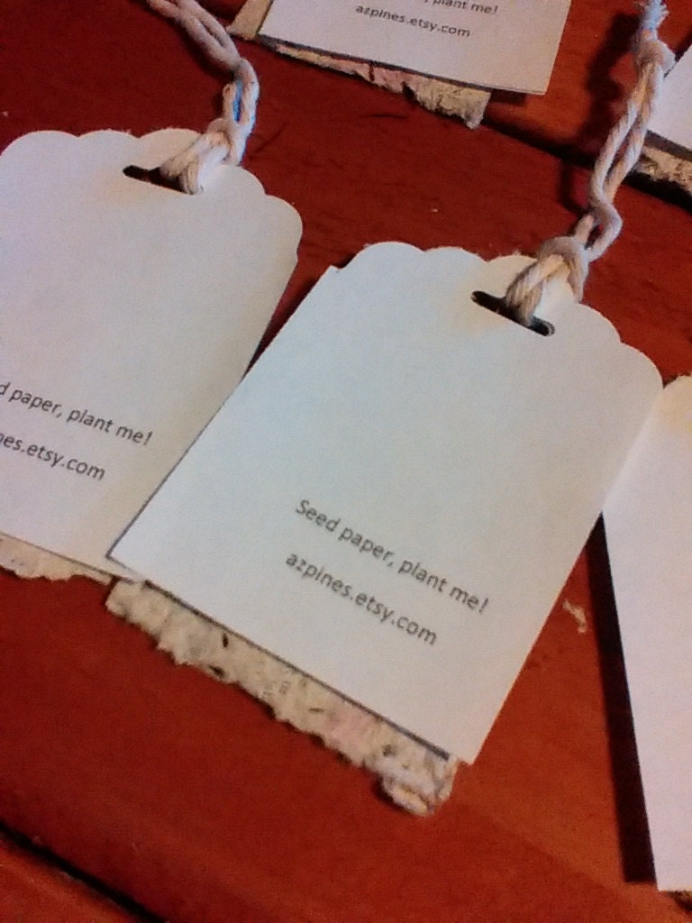 Set of 5 Wildflower Seed Paper Tags, Gift Tags, Gift Labels, Party ...