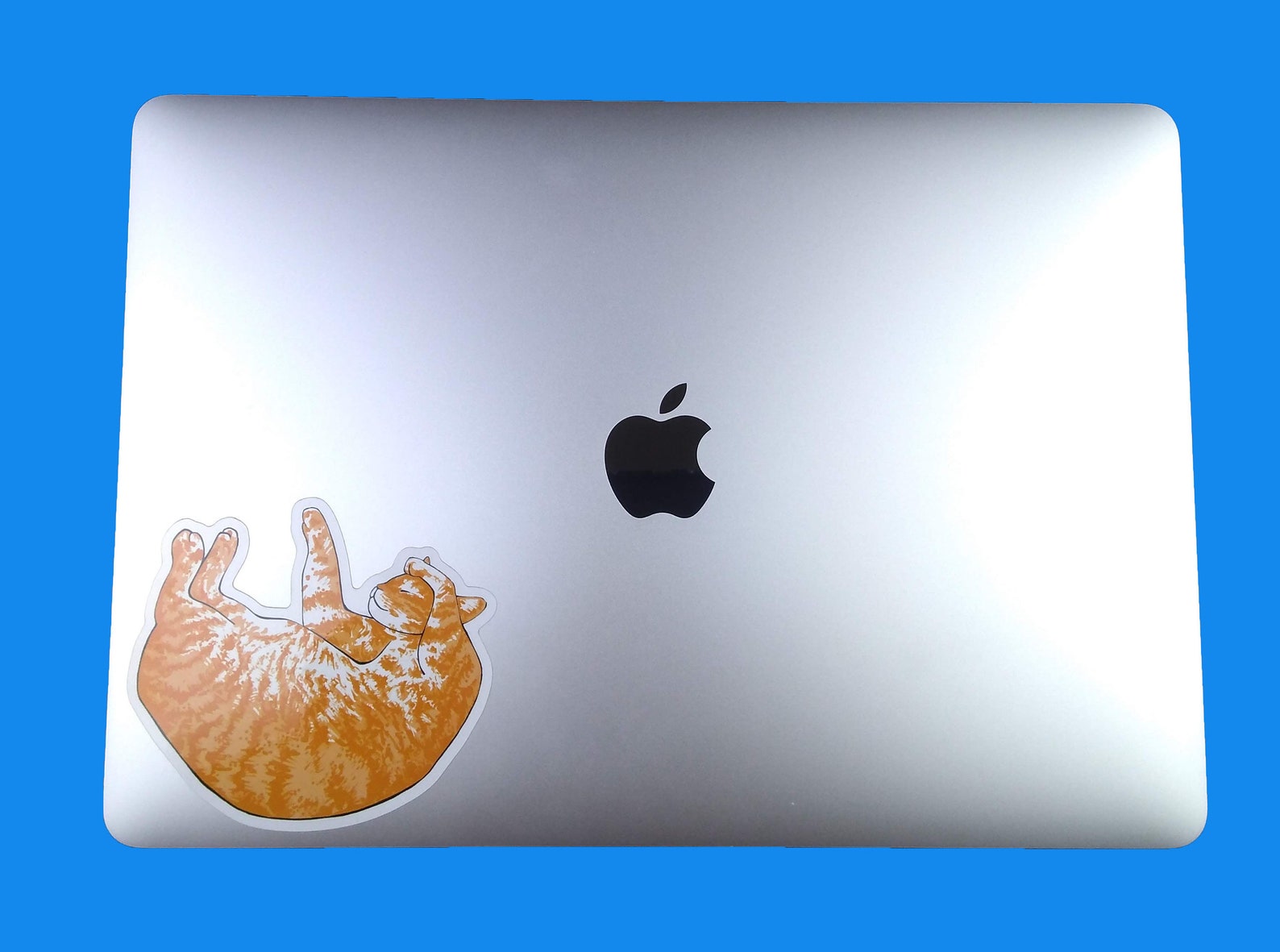 Orange cat sticker sleepy ginger cat sticker for cat lovers | Etsy