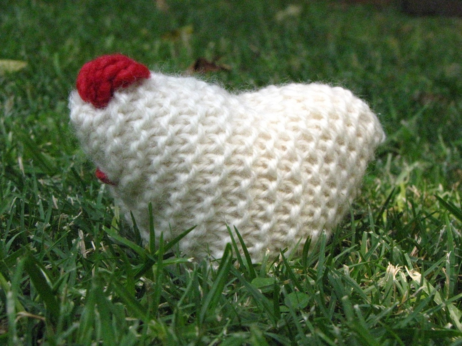 Chicken Knitting Pattern, (PDF), Digital Download - Etsy