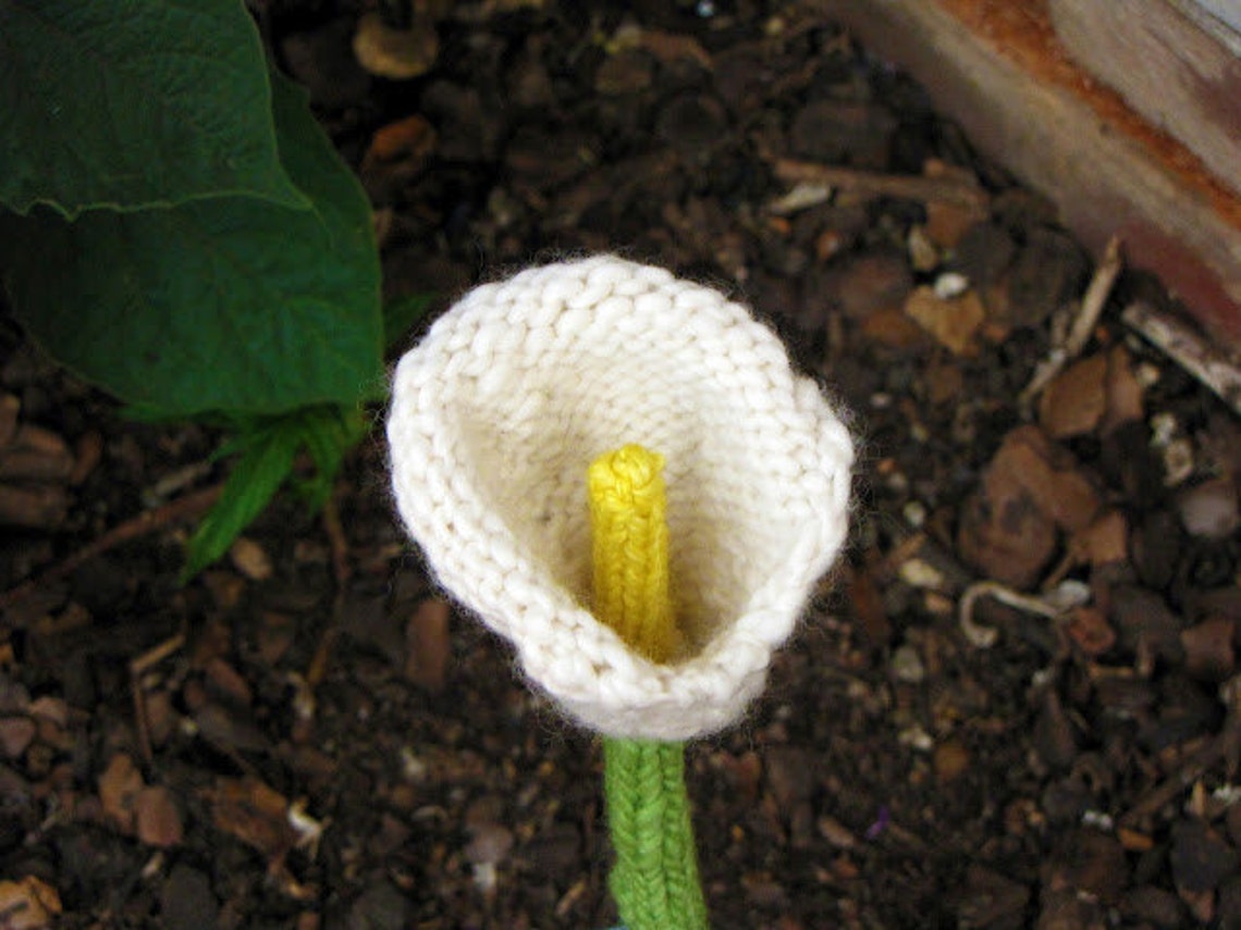 Arum Lily Flower Pattern PDF Digital Download - Etsy