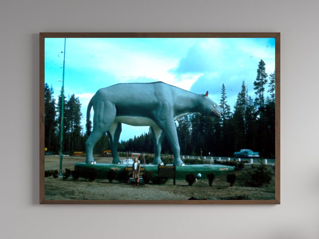 1966 Baluchitherium & 1957 Chevrolet Bel Air, Thunderbeast Park ...
