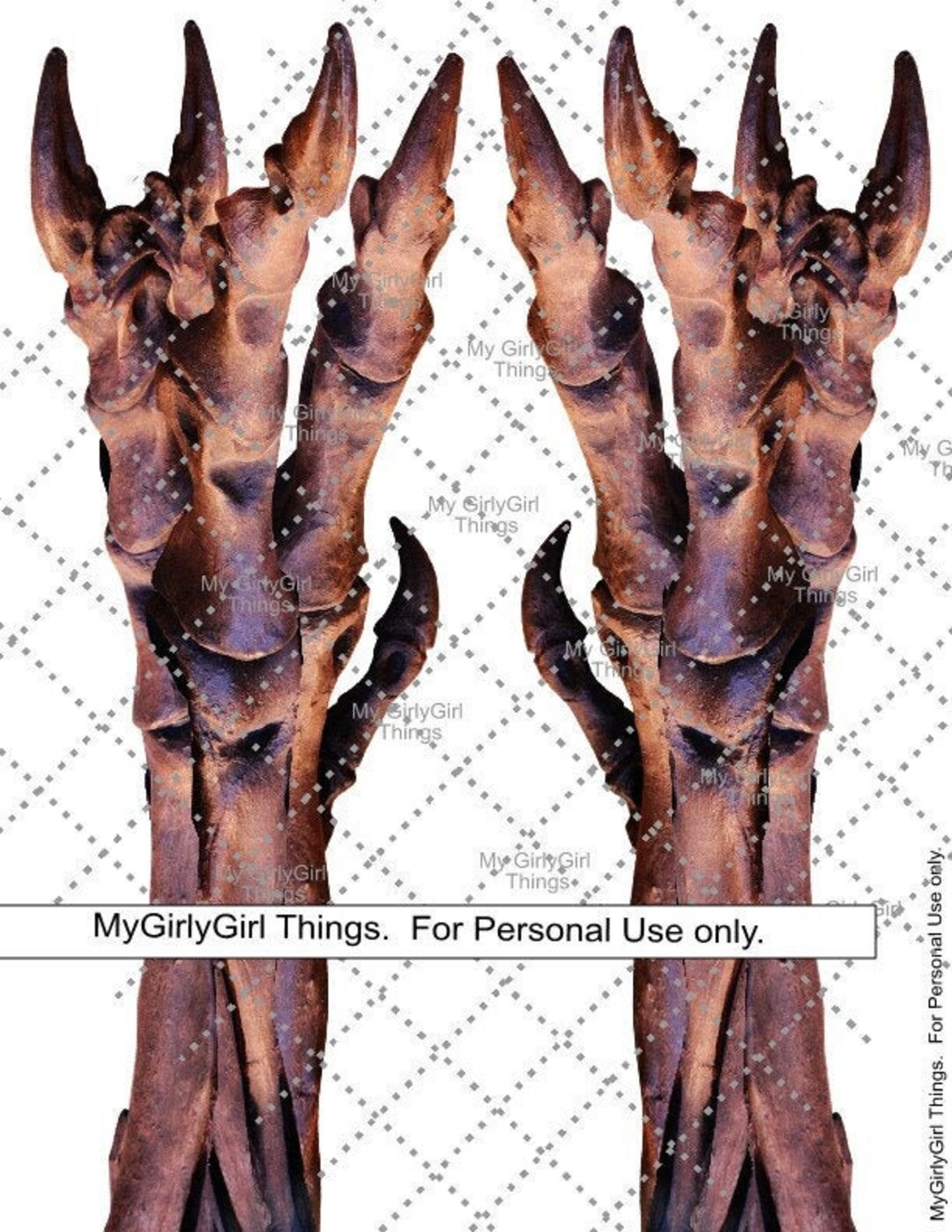 Pterodactyl Skeleton Feet Socks Png Halloween Sock Digital - Etsy