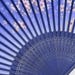 Blue Hand Fan, Floral Fan, Summer Fan, Blue Flower Fan, Vintage Fan ...