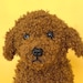 CROCHETED LABRADOODLE PUPPY Pdf Pattern english Only - Etsy