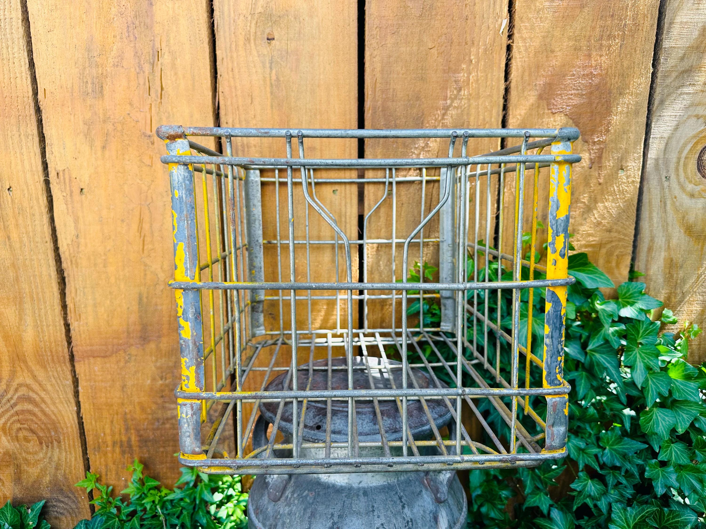 Vintage Dellwood Dairy Galvanized Steel Milk Crate With Yellow Chippy ...