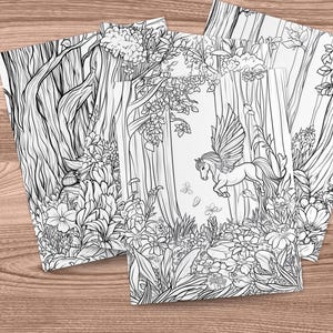 Enchanted Forest Adult Coloring Book – 62 Pages of Magical Creatures ...